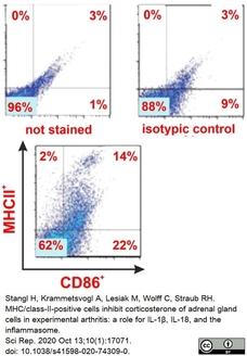 Mouse IgG1 Negative Control Antibody (Rat) | Bio-Rad