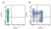 Mouse IgG1 Negative Control Antibody (Human) | Bio-Rad