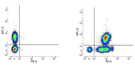 Mouse IgG1 Negative Control Antibody (Human) | Bio-Rad