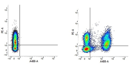 Mouse IgG1 Negative Control Antibody (Human) | Bio-Rad