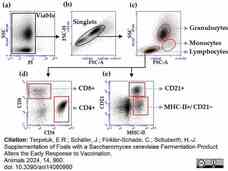Anti Canine CD21 Antibody, clone CA2.1D6 | Bio-Rad