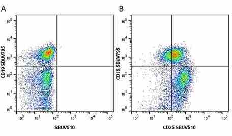 Anti Human CD2 Antibody, clone LT2 | Bio-Rad