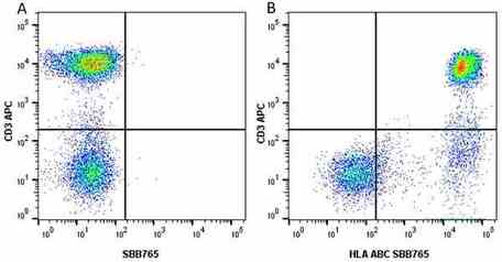 Anti Human CD3 Antibody, clone OKT3 | Bio-Rad