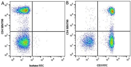 Anti Human CD3 Antibody, clone OKT3 | Bio-Rad
