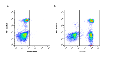 Anti Human CD3 Antibody, clone OKT3 | Bio-Rad