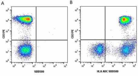 Anti Human CD3 Antibody, clone OKT3 | Bio-Rad