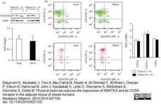 Anti Human CD3 Antibody, clone UCHT1 | Bio-Rad