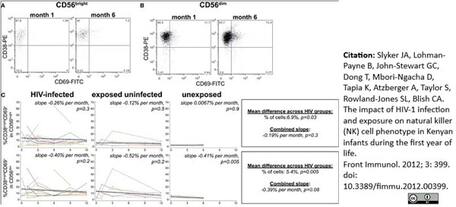 Anti Human CD38 Antibody, clone AT13/5 | Bio-Rad