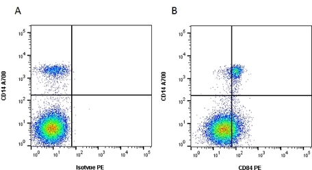 Anti Human CD84 Antibody, clone CD84.1.21 | Bio-Rad