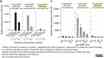anti Mono-ADP-Ribose Antibody, clone AbD33204 - SpyTag Labeled | Bio-Rad