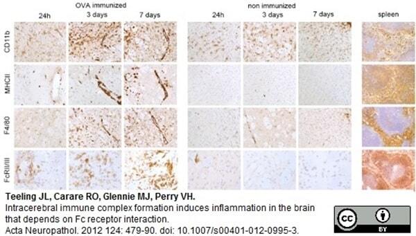 Anti Mouse CD16/CD32 Antibody, clone FCR4G8 | Bio-Rad