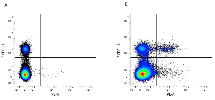 Anti Mouse CD25 Antibody, clone PC61.5.3 | Bio-Rad