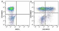 Anti Mouse CD25 Antibody, clone PC61.5.3 | Bio-Rad