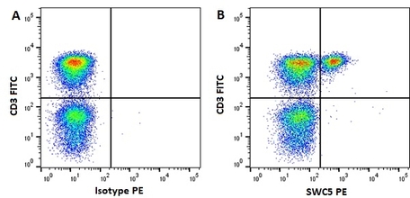 Anti Pig SWC5 Antibody, clone b37c10 | Bio-Rad