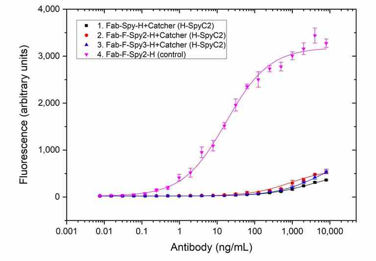 anti SpyTag Antibody, clone AbD51767kg | Bio-Rad