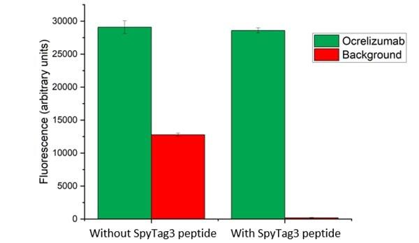 SpyTag3 Peptide | Bio-Rad