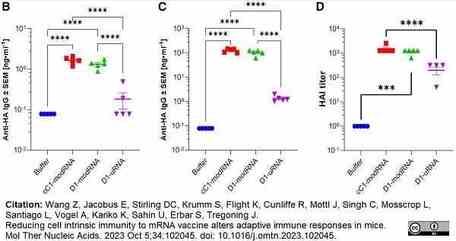 Anti Mouse IgG (Fc) Antibody | Bio-Rad