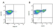 Anti Mouse IgG2a Antibody | Bio-Rad