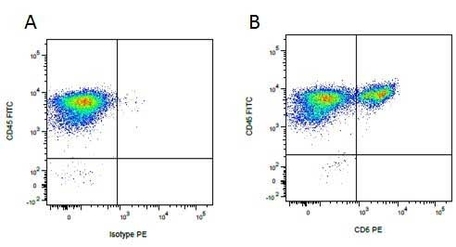 Anti Mouse IgG2a Antibody | Bio-Rad
