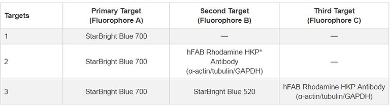 Goat ANTI-RABBIT IgG StarBright™ Blue 520 Antibody | Bio-Rad