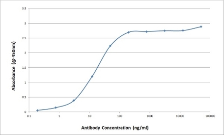 Purified Sheep IgG | Bio-Rad